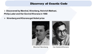 Genetic Code, Discovery of Genetic code. | PPT