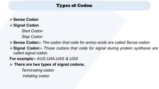 Genetic Code, Discovery of Genetic code. | PPT