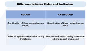 Genetic Code, Discovery of Genetic code. | PPT