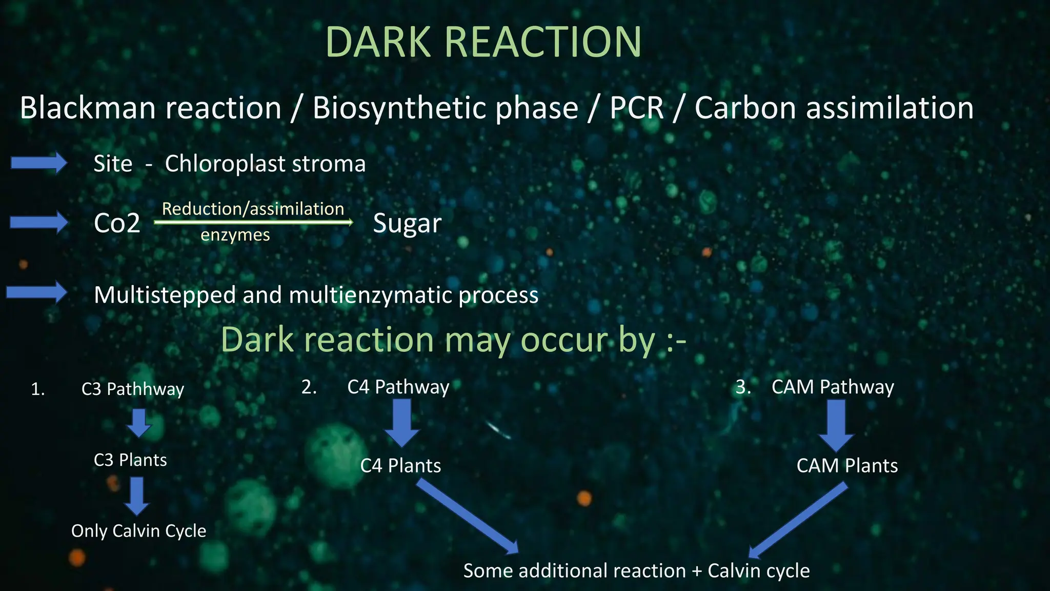 Calvin cycle presentation. A brief and chart presentation of Calvin ...