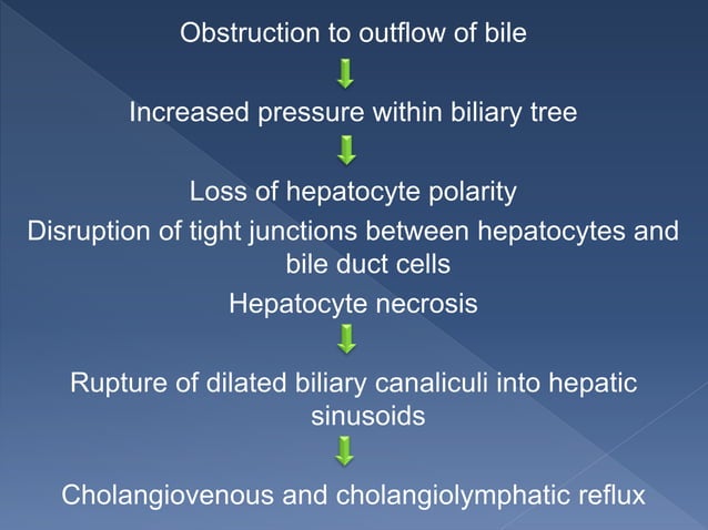 Obstruction jaundice and pathology of jaundice and symptoms | PDF ...