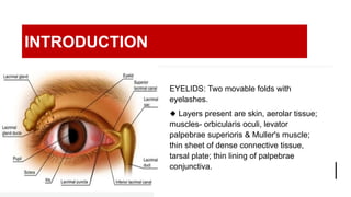 Eyelid deformities by Rutuja Mane bsc nursing | PPTX