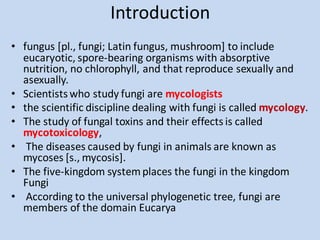 Fungi classification pdf ................ | PDF