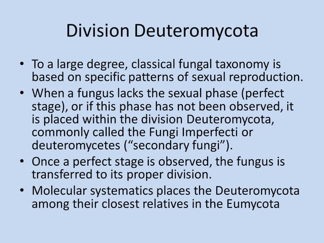 Fungi classification pdf ................ | PPT