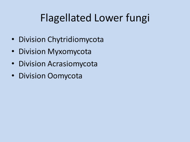 Fungi classification pdf ................ | PPT