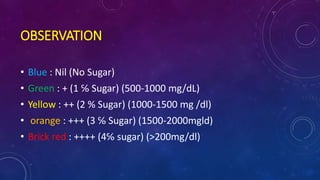 Urine testing by Rutuja Mane bsc nursing | PPTX