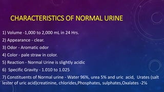 Urine testing by Rutuja Mane bsc nursing | PPTX