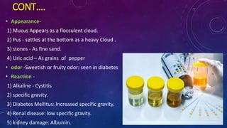 Urine testing by Rutuja Mane bsc nursing | PPTX