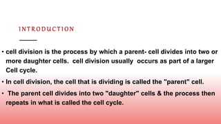 Review of cell division :- mitosis & meiosis pptx by Rutuja | PPTX
