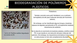 BIODEGRADACIÓN DE MICROPLASTICOS A PARTIR DE ACTINOBACTERIAS Y ...