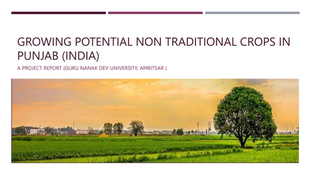Non Traditional Potential Targeted Crops in Punjab: A Report Overview | PPT