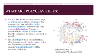 Keys of Identification for Indian Wood: A Seminar Report | PPT