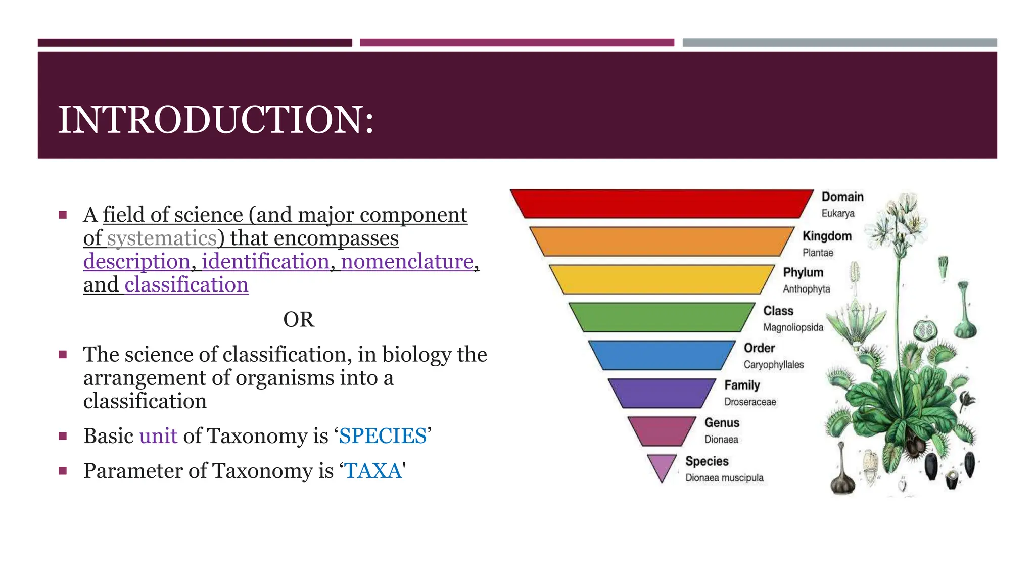 Dalghren, Thorne and Stebbins System of Classification of Angiosperms ...