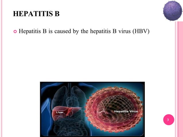 Hepatitis B medicine general syllabus third year | PPT
