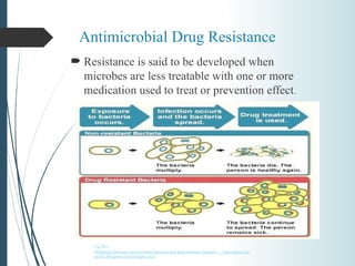 CELLULAR AND MOLECULAR MECHANISM OF ACTION AND RESISTANCE OF ...