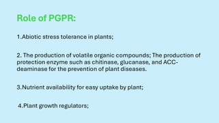 Plant growth promoting Rhizobacteria(PGPR) | PDF
