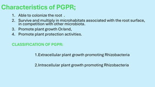 Plant growth promoting Rhizobacteria(PGPR) | PDF