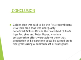 Golden Rice of genetic modification crop | PDF