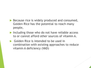 Golden Rice of genetic modification crop | PDF