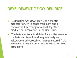 Golden Rice of genetic modification crop | PPT