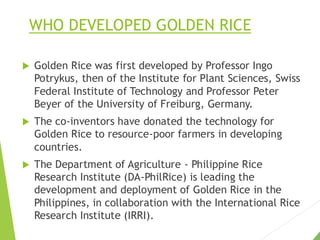 Golden Rice of genetic modification crop | PDF