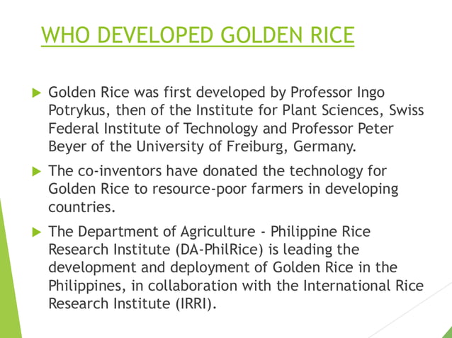 Golden Rice of genetic modification crop | PPT