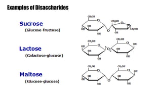 DOC-20240804-WA001 presentation on Dissacharides | PPT
