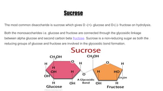 DOC-20240804-WA001 presentation on Dissacharides | PPT