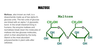 DOC-20240804-WA001 presentation on Dissacharides | PPT