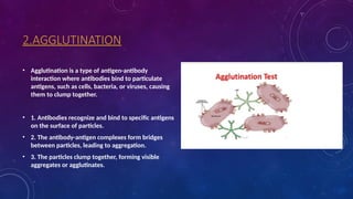 Antigen antibody interaction-agglutination and precipitation ...