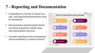 CPCSEA Guidelines To Conduct Experiments On Animals., | PDF
