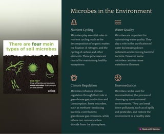 History of Microbiology- General Introduction | PPT
