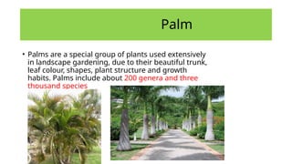 Propagation of palms in landscape and it's methods | PPT