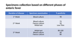 Pharmacotherapy of enteric fever pp.pptx
