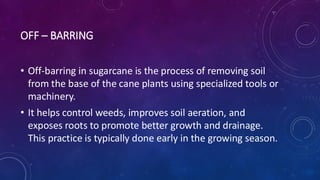 Stubble shaving and off barring in sugarcane | PDF