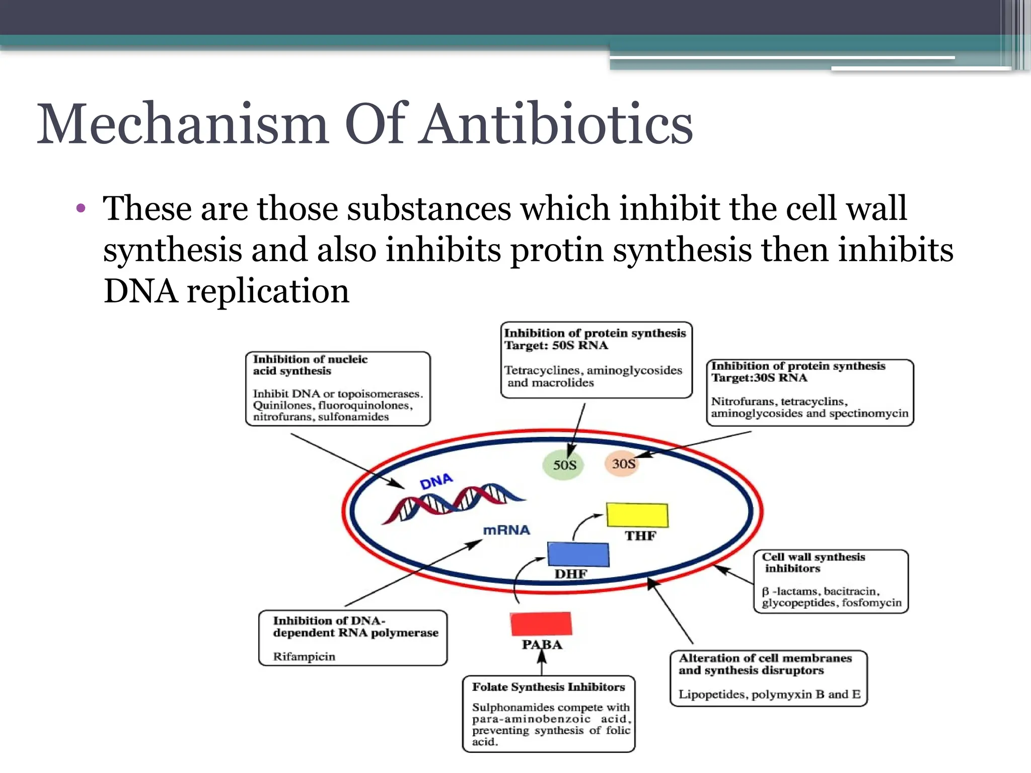 PHARMCY related antibiotics DOC-20241003-WA0063^.pptx | Free Download