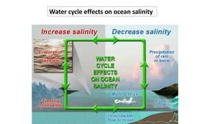 Factors causing variations in salinity levels and their impacts on ...