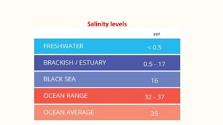 Factors causing variations in salinity levels and their impacts on ...