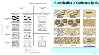 Introduction And Classification Of Limestone.pptx