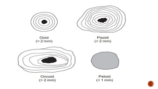 Introduction And Classification Of Limestone.pptx