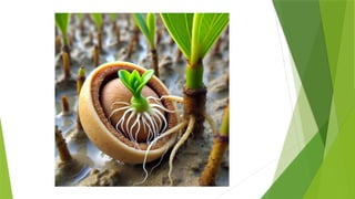 Seed germination defination type etc.pptx
