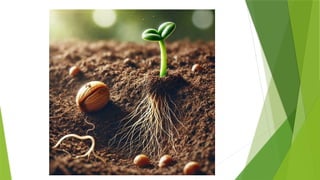 Seed germination defination type etc.pptx