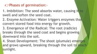 Seed germination defination type etc.pptx