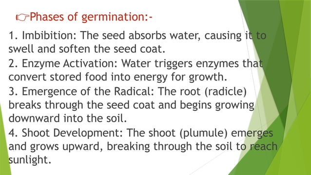 Seed germination defination type etc.pptx