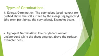 Seed germination defination type etc.pptx