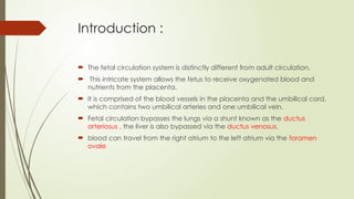 DOC-20241014-WA0051 fetal circulation.pptx