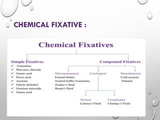 CLINICAL IABORATORY TECHNOLOGY -HISTOPATHOLOGY FIXATION OF TISSUES ...