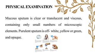 CLINICAL LABORATORY TECHNOLOGY-SPUTUM SAMPLE COLLECTION TECHNIQUES | PPT