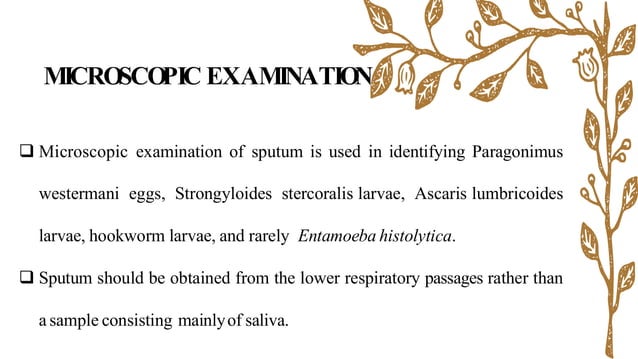 CLINICAL LABORATORY TECHNOLOGY-SPUTUM SAMPLE COLLECTION TECHNIQUES | PPT