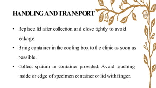 CLINICAL LABORATORY TECHNOLOGY-SPUTUM SAMPLE COLLECTION TECHNIQUES | PPT